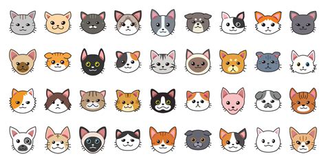 Different Type Of Vector Cartoon Cat Faces 10810765 Vector Art At Vecteezy