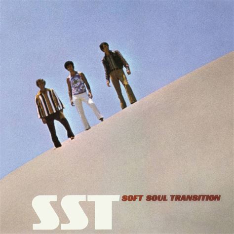 Soft Soul Transition Sst ביטניק חנות תקליטים