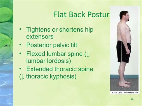 Methods In Assessing Posture And Its Abnormality Ppt
