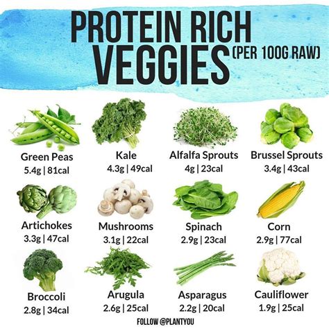 High Protein Vegetables A Plant Protein Chart