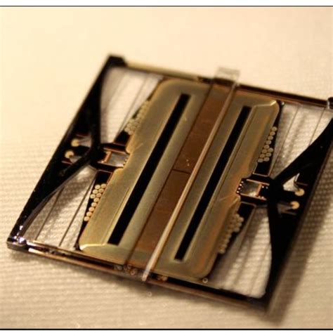 Schematics Of The Seal Ring Structure And Production Process Flow Download Scientific Diagram