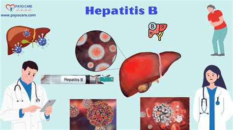 Hepatitis B Causes Symptoms Treatment And Prevention Payo Care