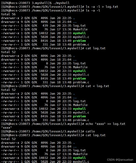 文件处理的重定义，dup2函数