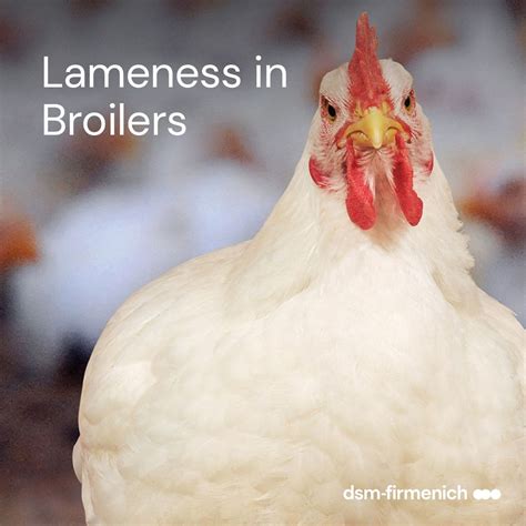 Elize Terblanche Posted On Linkedin