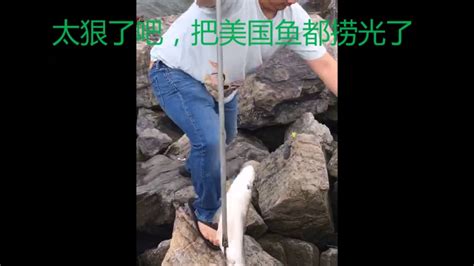史上最强父子钓鱼，福州人在纽约 Youtube