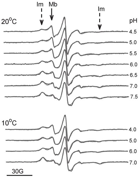 The Experimental Solid Lines And Simulated Dashed Lines Esr Spectra