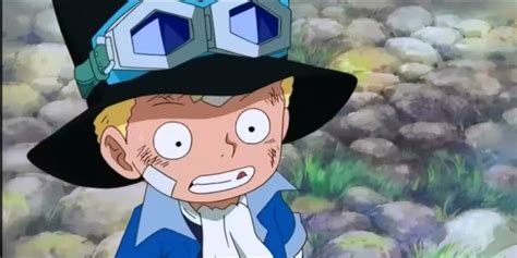 One Piece 8 Characters Who Shouldve Died But Lived
