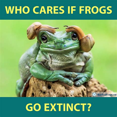 Who Cares If Frogs Go Extinct
