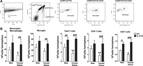 Il 4 Is Required For Sex Differences In Vulnerability To Focal Ischemia In Mice Stroke