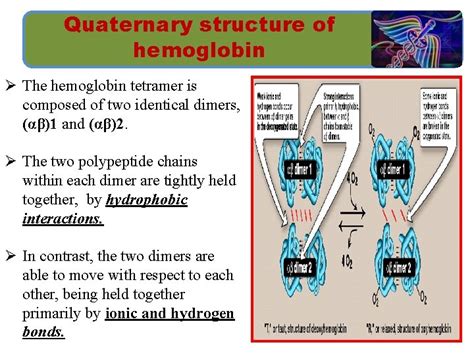 Hemoglobin Biochemistry Bms 233 L Noha Soliman Objectives