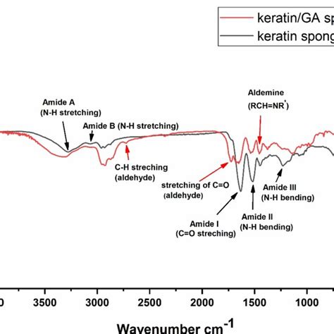 Crosslinking Reaction Of Keratin With Glutaraldehyde And Schiff Base