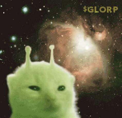 Glorp Cat In Space In 2025 Cat Memes Cat Tattoo Silly Cats Pictures