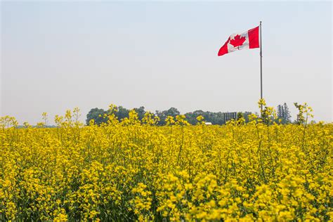 Celebrating Canadas Agriculture Day Emerging Ag Inc