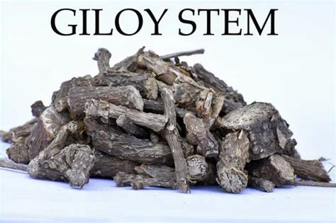 Brown Dried Giloy Stem Packaging Type Loose At Rs 25 Kg In Neemuch Id 26329464573