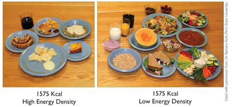 Xoxofitspo Nutrition Energy Foods Nutrient Dense Food