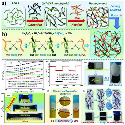 Pdf Fundamental Concepts Of Hydrogels Synthesis Properties And Their Applications