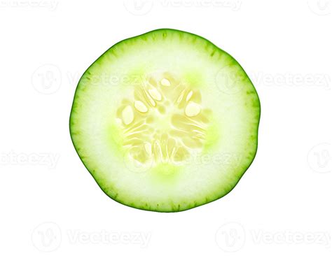 Cross Section Of A Cucumber 54950285 Png