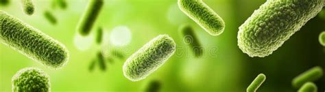 Microscopic View Of A Cluster Of Bacteria In Scientific Setting Microscopic Stock Illustration