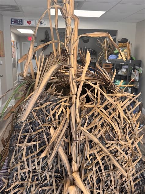 Blindgrass Blindgrass Added A New Photo — In Lafayette La