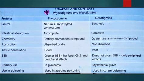 Cholinergic System Pptx