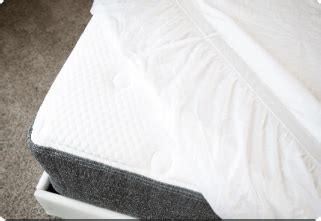 Ghostprotector Waterproof Mattress Cover And Protector Ghostbed® Canada