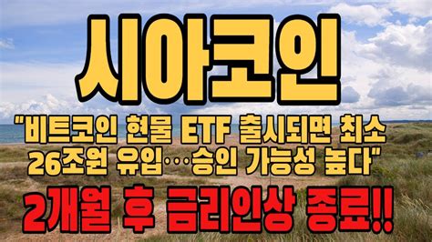 시아코인 저장플랫폼 메타버시 Nft 삼성 퀄컴 구글 3각편대 코인전망 비트코인 이더리움 도지코인 Youtube