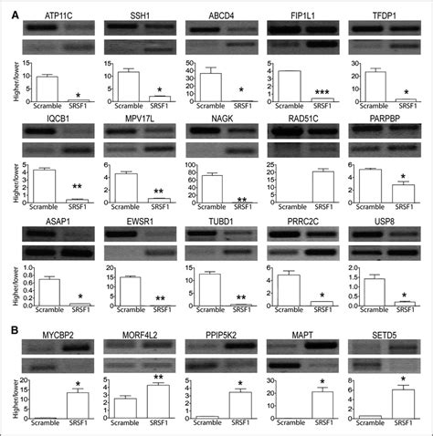 Validation Of Differential Alternative Splicing Events From The Top 20
