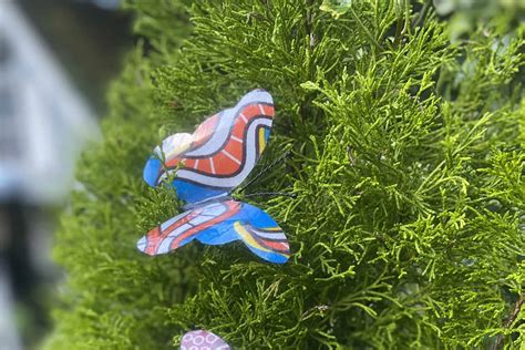 The Vibrant Creole Culture Of Cape Verde Cape Verde