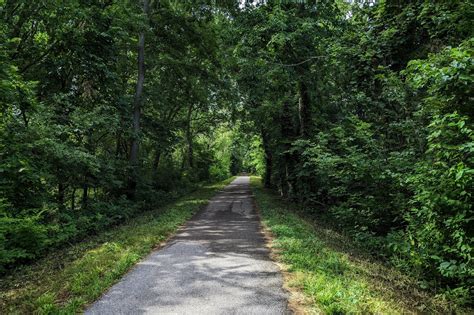 Its This Or Get A Real Job