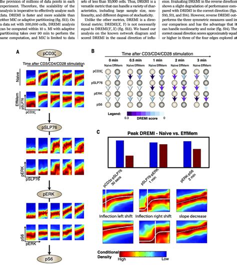 Comparison of naïve with antigen exposed T cells Data from CD4 naïve Download Scientific