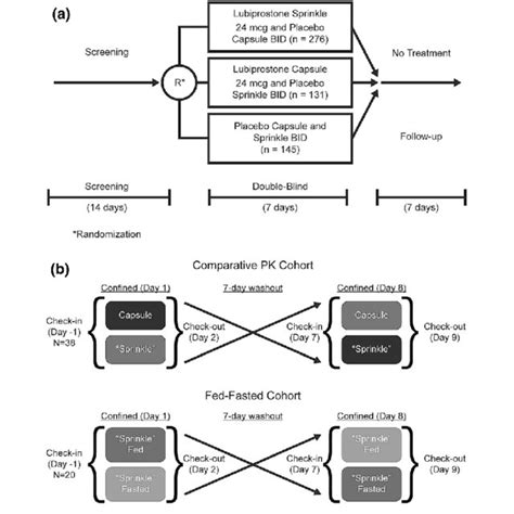 Design And Flow Of The Bioequivalence Study Study 302 A And The