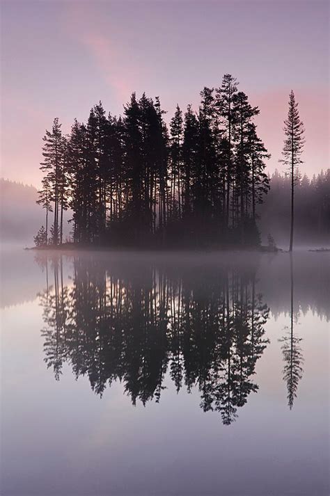 Pin by Elena on туман | Beautiful nature, Nature photography, Beautiful ...
