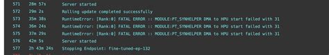 Error While Trying To Run Inference Using Gaudi On A Finetuned Llama2