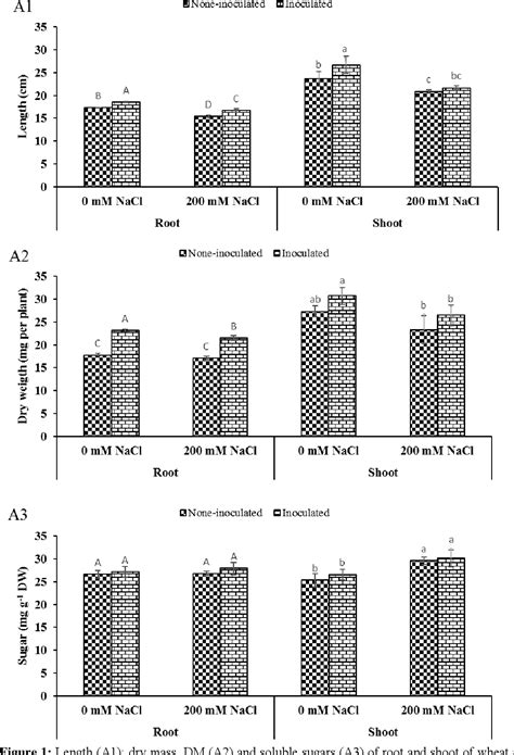 Figure 1 From Salt Overly Sensitive 1 Sos1 Gene Expression Can Be Regulated Via Azospirillum