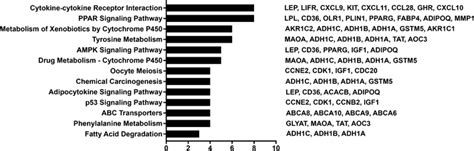 Signaling Pathway Analysis Of The Differentially Expressed Genes In