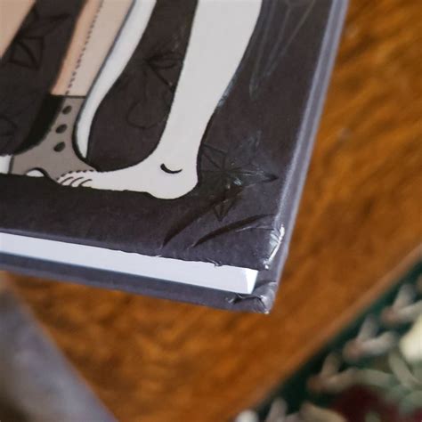 The Phantom Twin By Lisa Brown