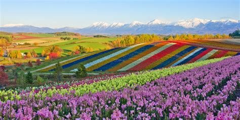 Where To Stay In Hokkaido The Ultimate Seasonal Travel Guide