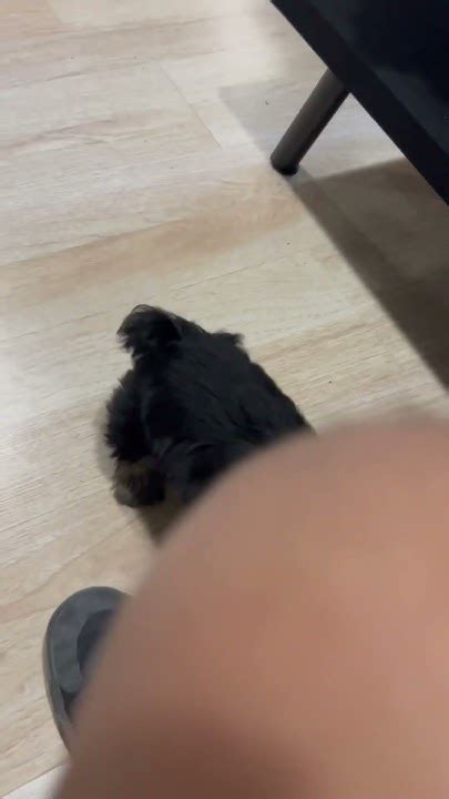 My Amiya Ask If She Is Cute 🥰 Youtube