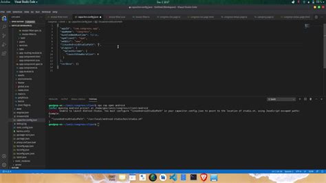 Error Unable To Launch Android Studio Configure LinuxAndroidStudioPath In Capacitor Config