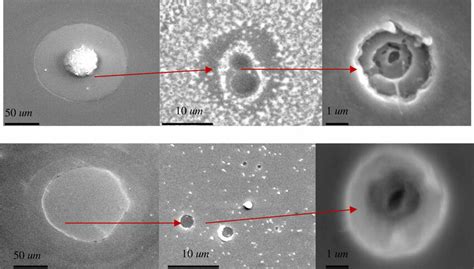 Sem Image With Organic Contamination Droplet Top And Organic