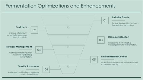 Fermentation Optimizations And Enhancements Ppt Graphics Acp Ppt Slide