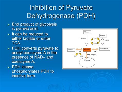 Ppt Oxygen Whats It Good For Anyways Powerpoint Presentation Free