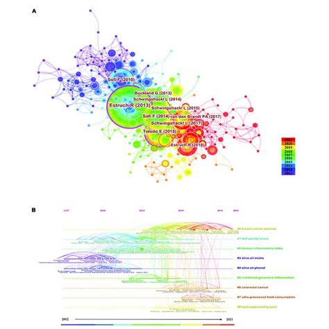 A The Co Occurrence Map Of References B The Timeline Plot Of