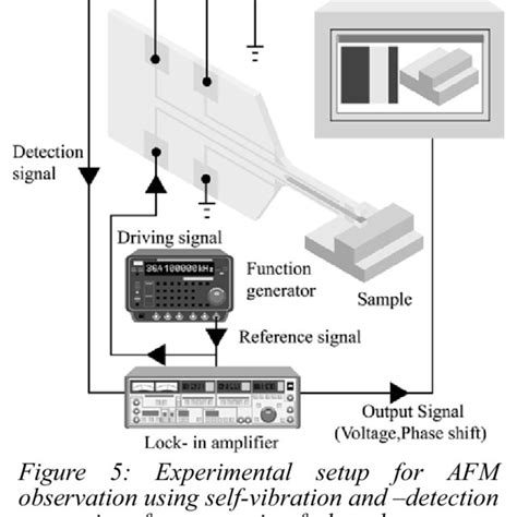 Schematic View Of The Quartz Tuning Fork Afm Probe Download Scientific Diagram