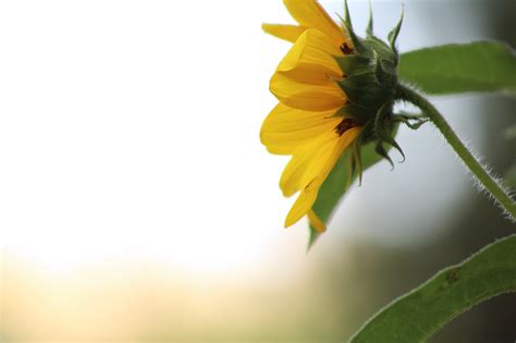 Very Small Things On Behance