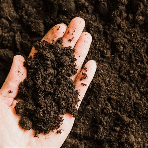 Día De La Conservación Del Suelo Agrícola Navarro De Haro