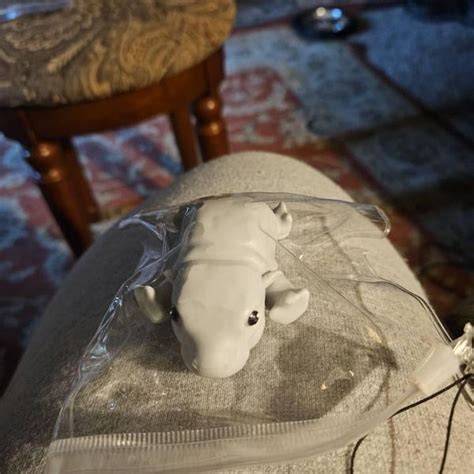 Squishy Desert Rain Frog Cute Butt Frog Fidget Weirdcore Desk Toy For Stress Relief Etsy