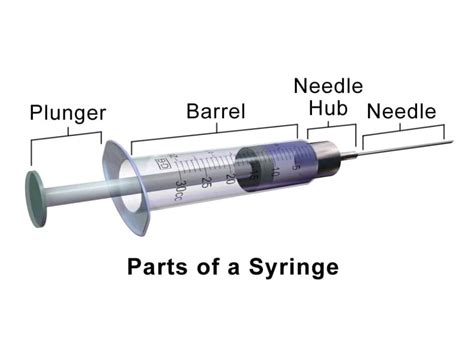 Neha Thakur On Linkedin Parts Of Stringe