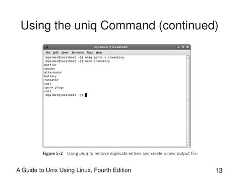 Ppt A Guide To Unix Using Linux Fourth Edition Powerpoint