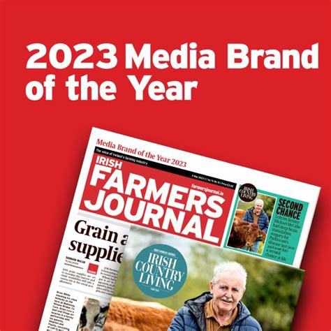 Amy Forde Posted On Linkedin